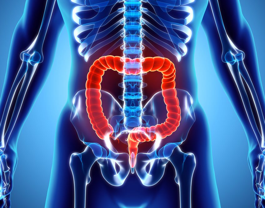 A molecule could relieve patients suffering from chronic diarrhea with ...