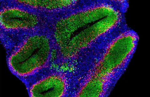 Le professeur Didier Samuel est nommé président-directeur général de l ...